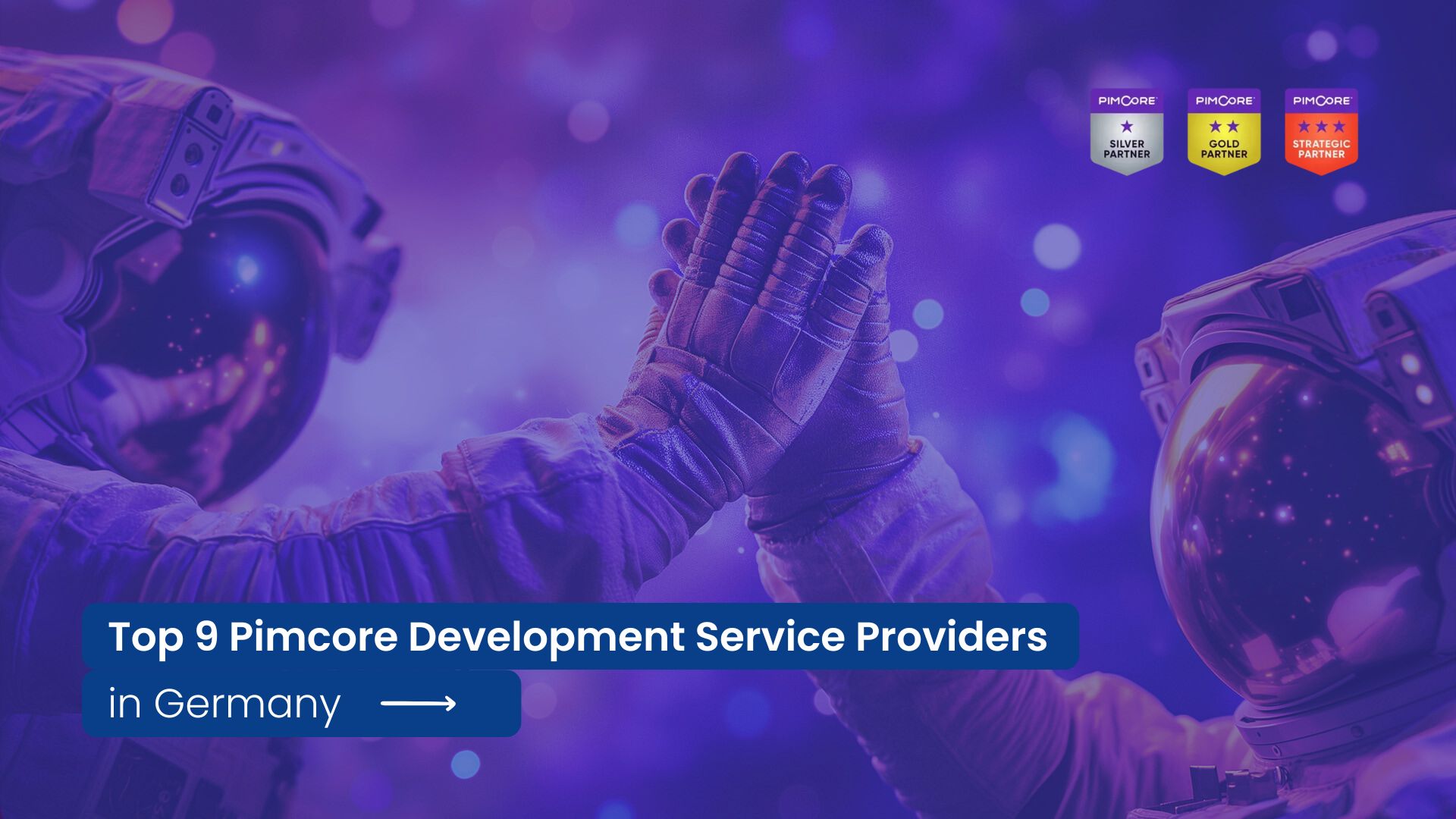 Top 9 Pimcore Development Companies in Germany